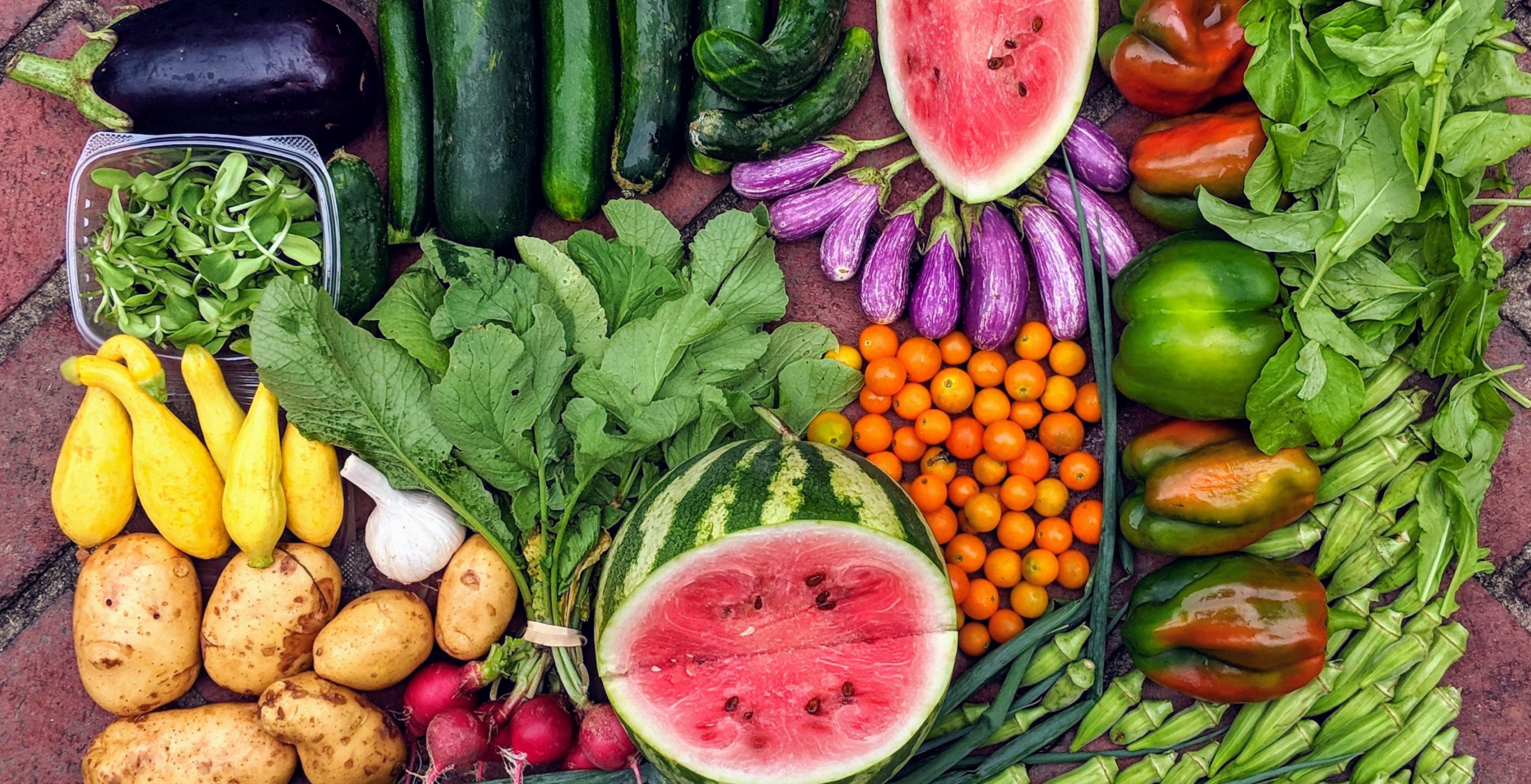 Home | Catawba Lands Conservancy