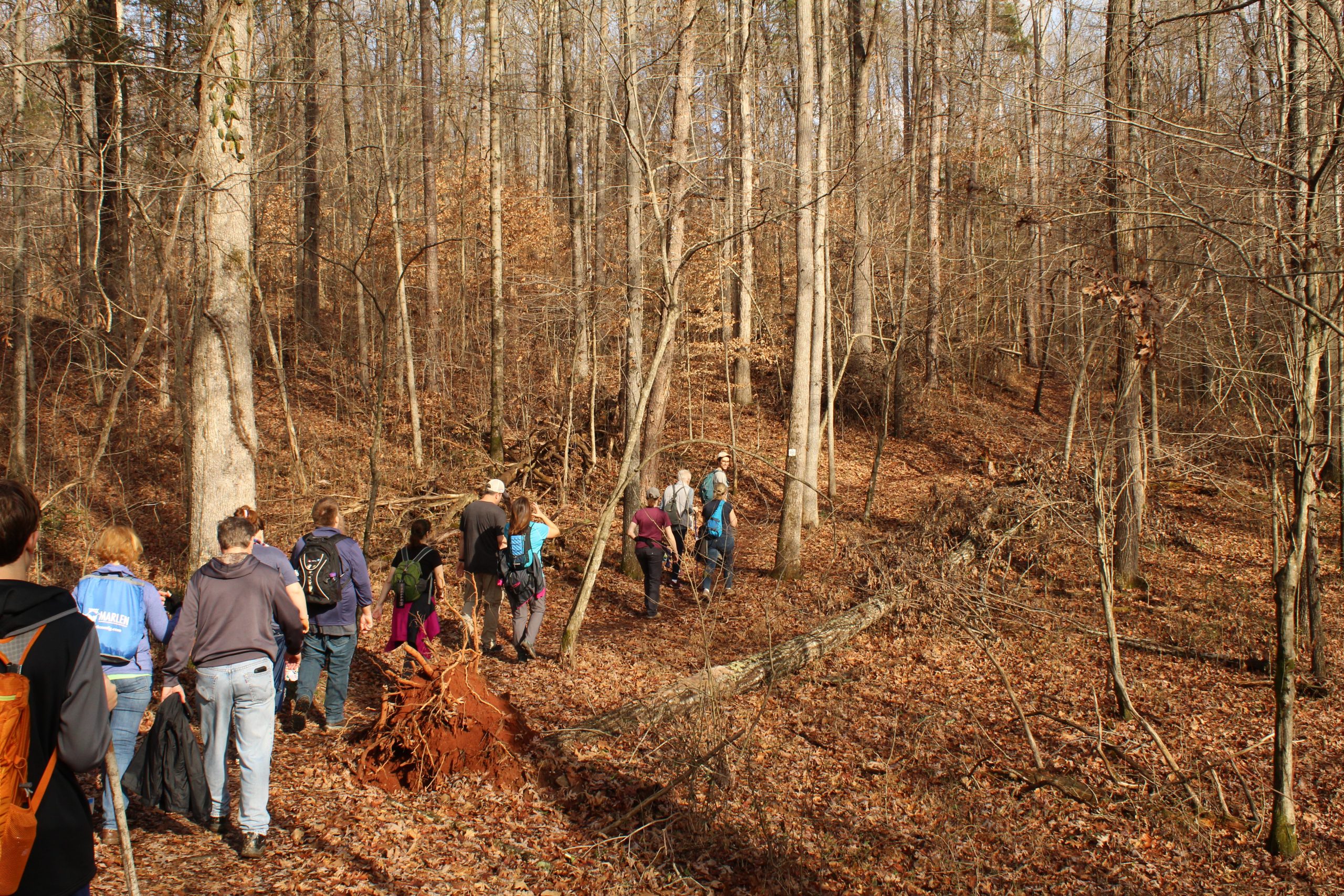 Feb. 8 - Winter Revive Nature Hike at Daniel Stowe Botanical Garden ...