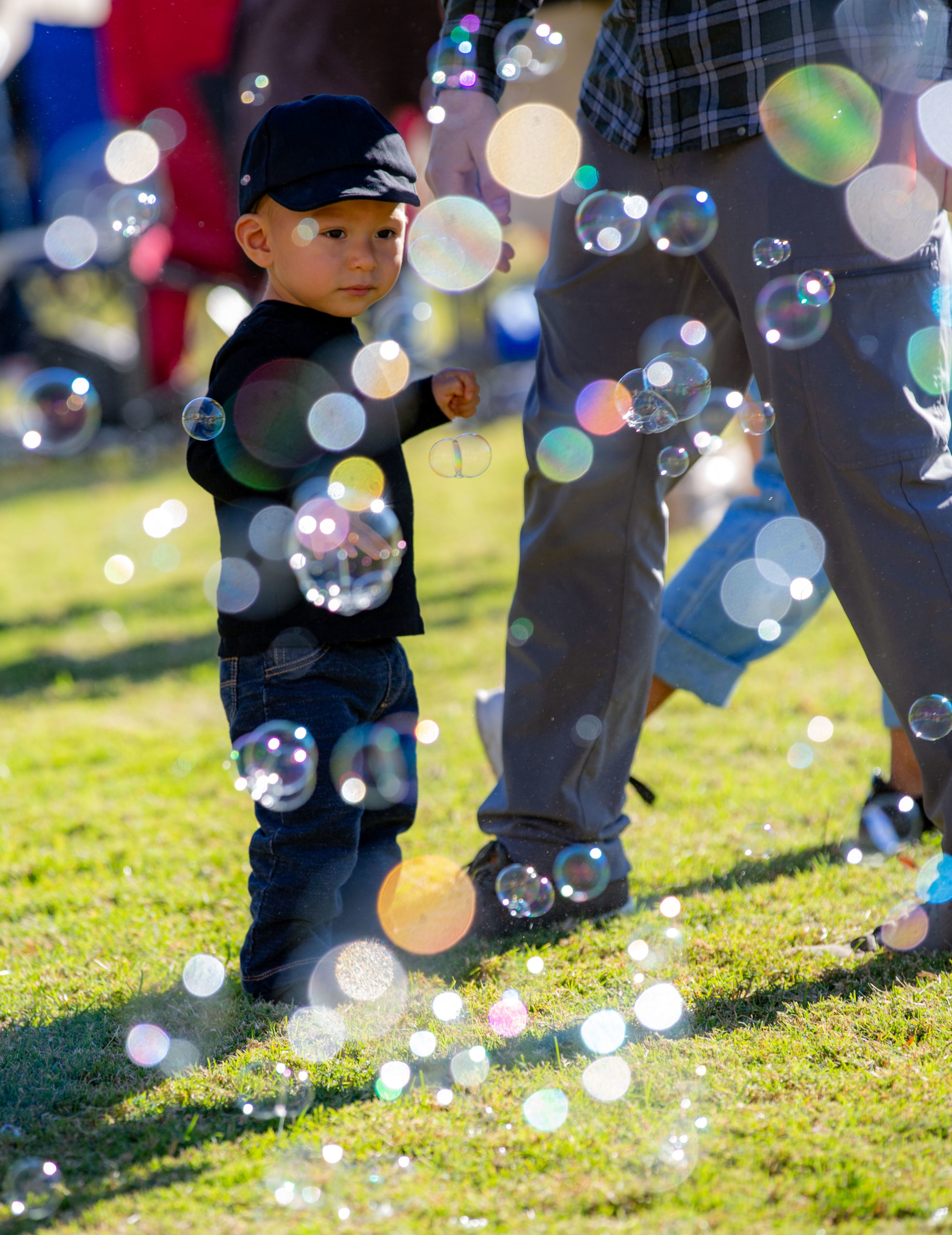 Pop Up Picnic | Catawba Lands Conservancy