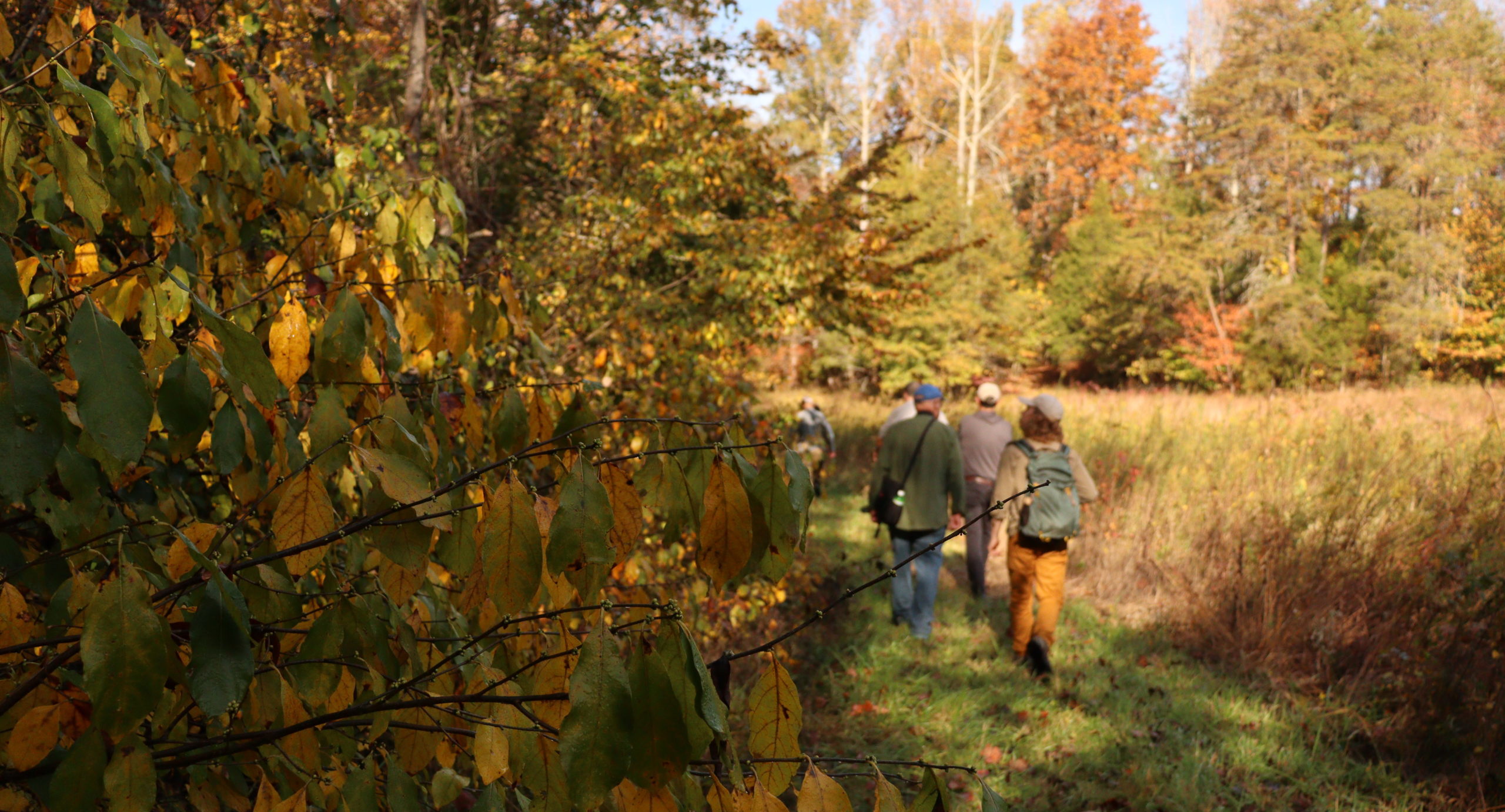 You Help Nature Thrive | Catawba Lands Conservancy